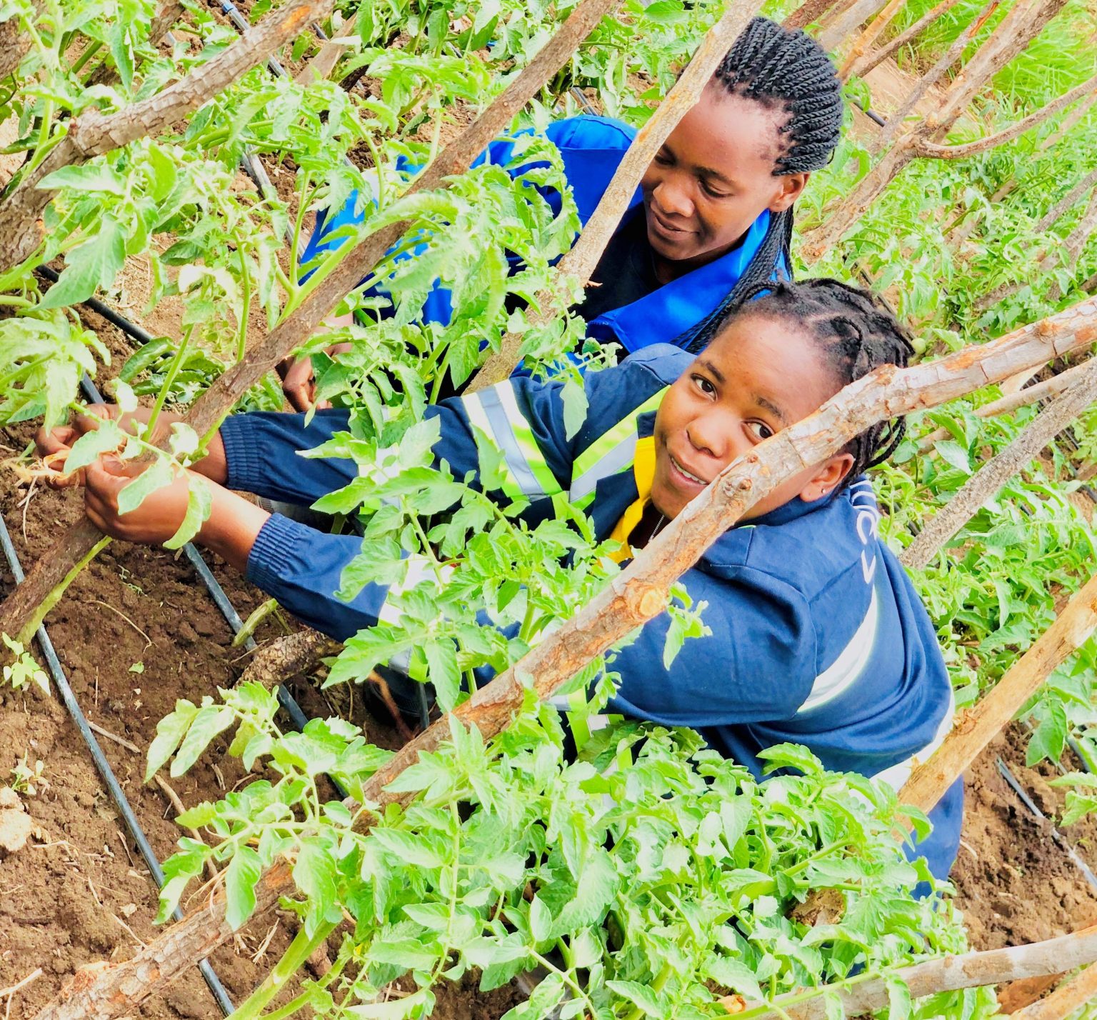 Mwimba College of Agriculture – MWICA