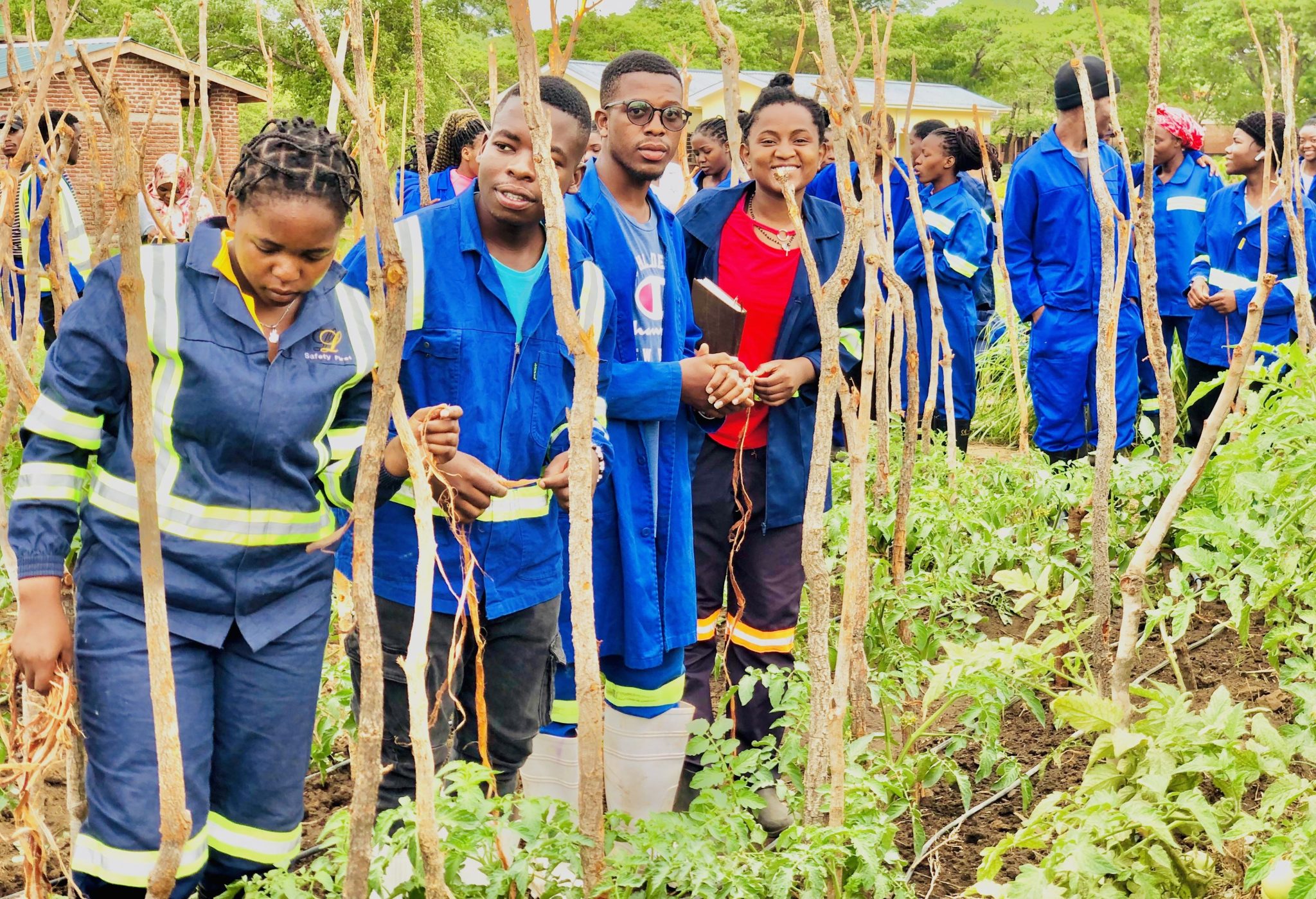 Mwimba College of Agriculture – MWICA